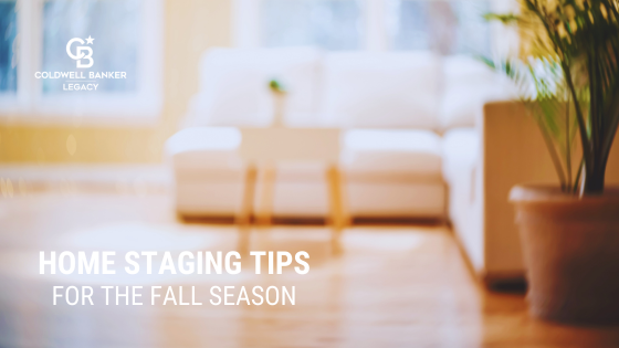 Posts from October 2024